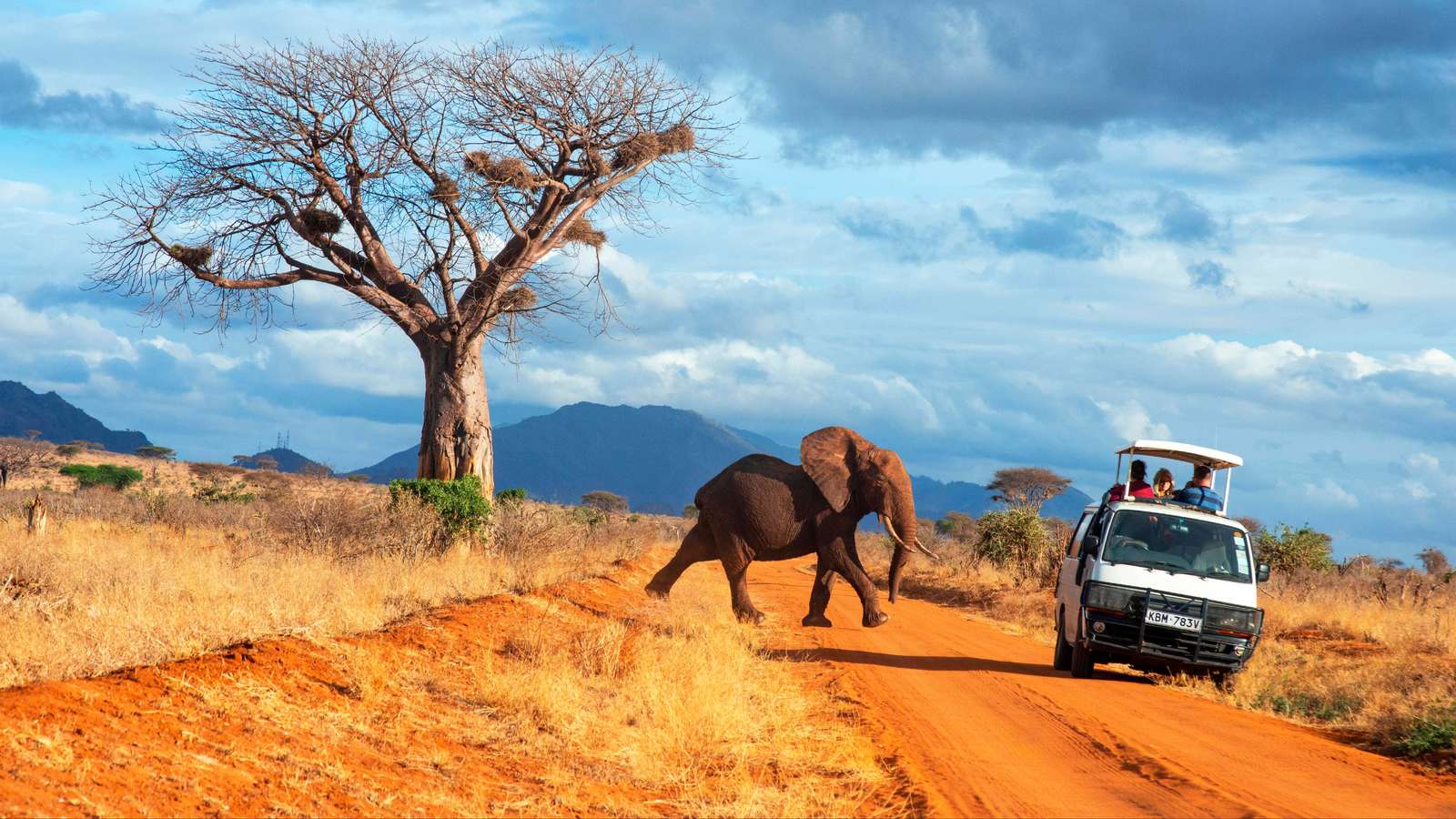DaF Praktikum in Kenia am AG German Institute - AG German Institute